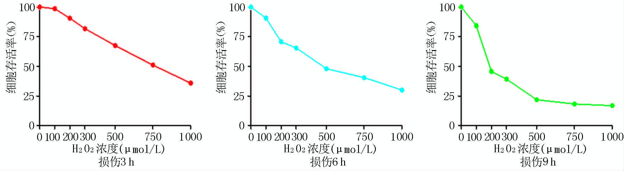 体外L02肝细胞氧化损伤模型的构建