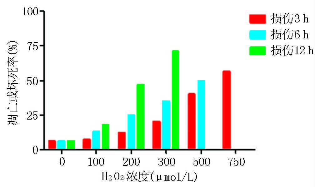 体外L02肝细胞氧化损伤模型的构建